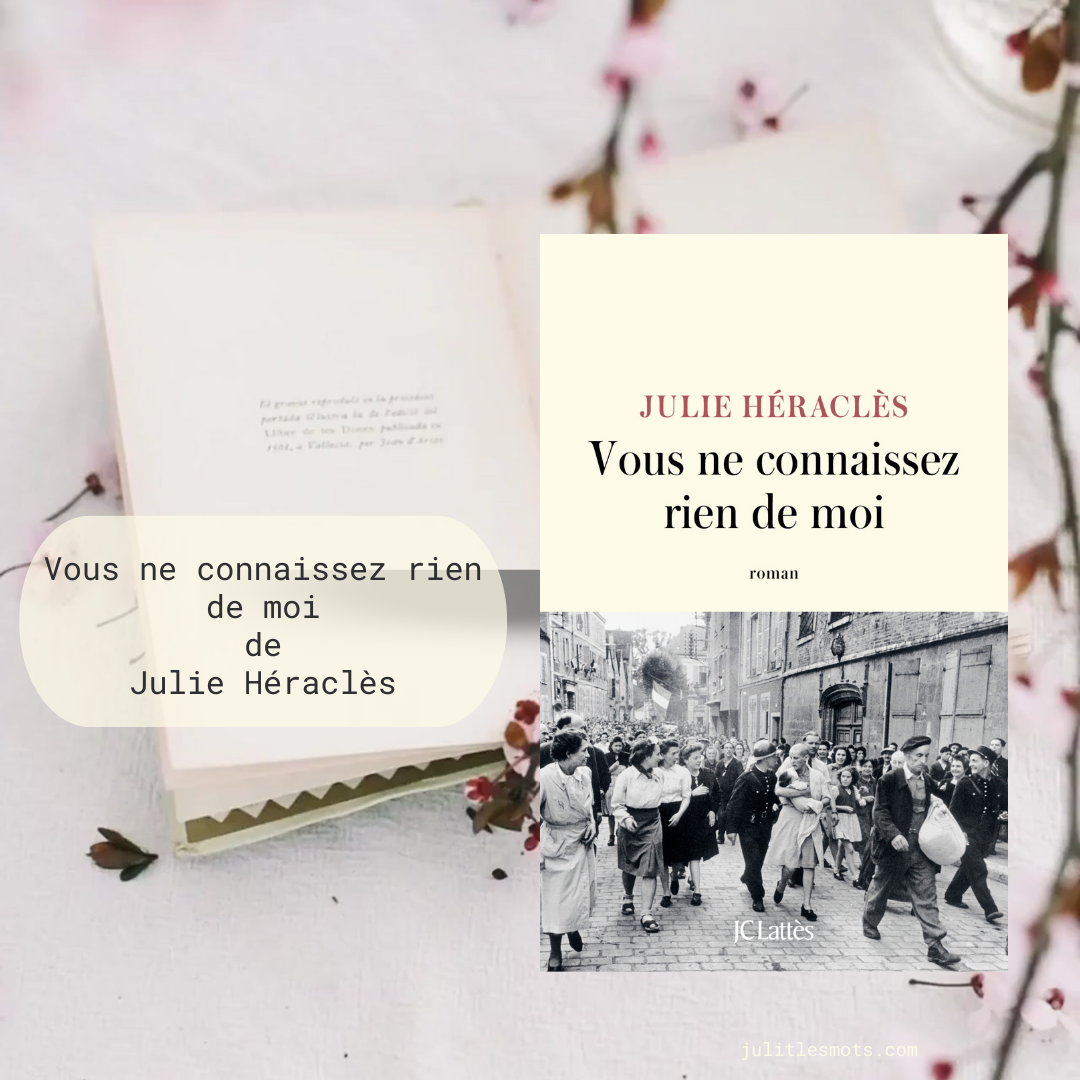 Vous ne connaissez rien de moi de Julie Héraclès – Ju lit Les Mots