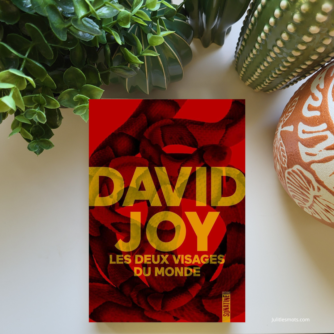 Rentrée littéraire 2024 : Les Deux Visages du monde David Joy – Ju lit ...
