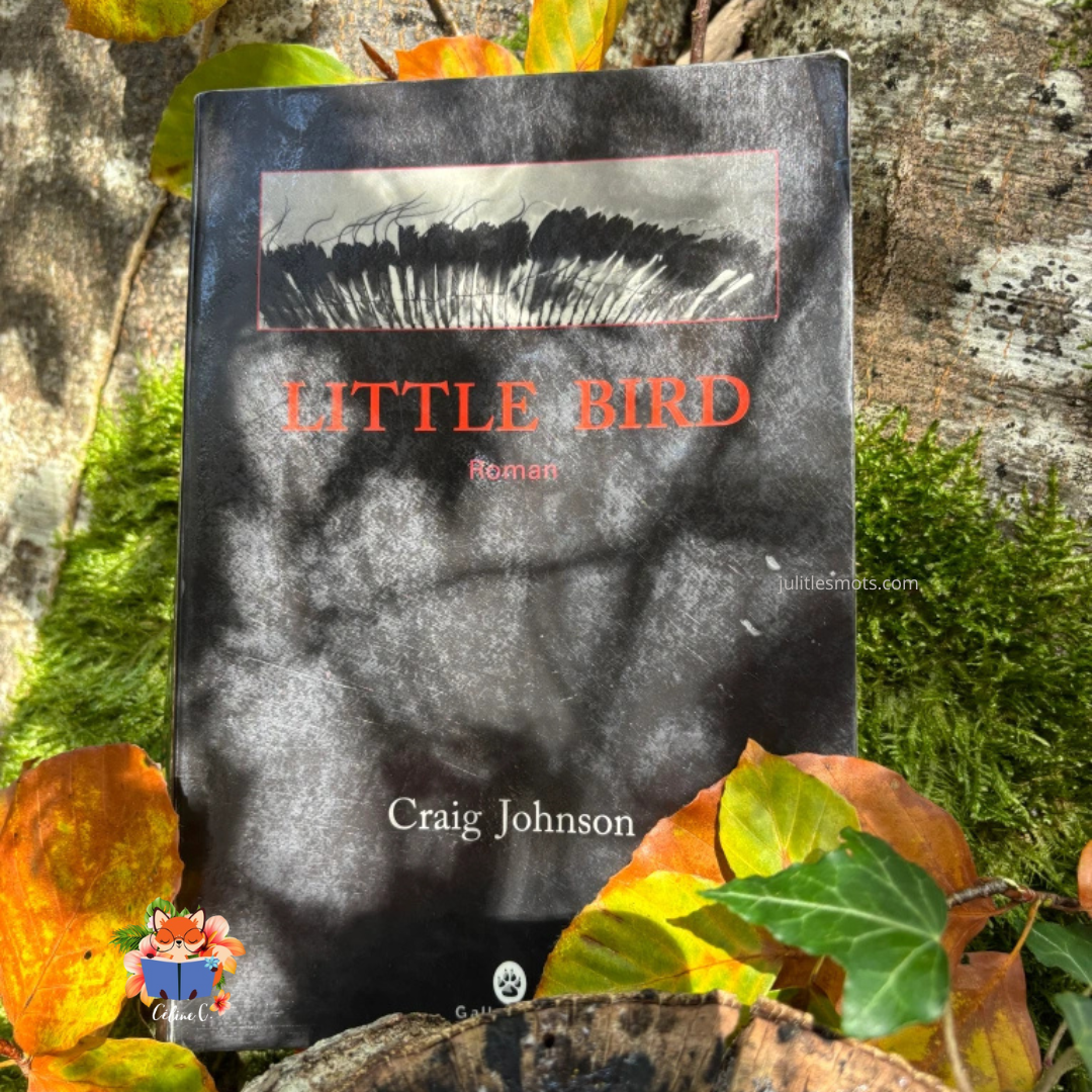Les avis de Céline C. : Little bird, Craig Johnson – Tome 1 de la série ...